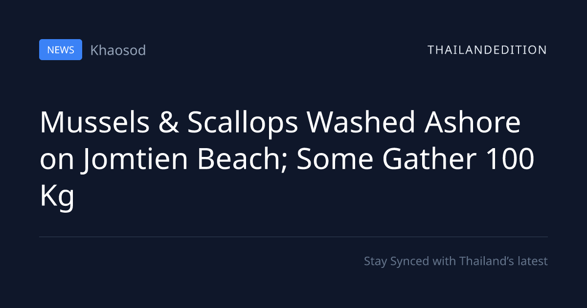 Mussels & Scallops Washed Ashore on Jomtien Beach; | thailandedition